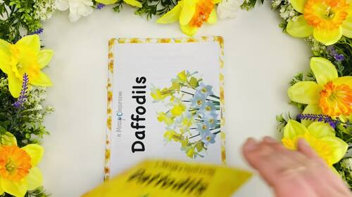 2nd-Grade Spring Flowers Daffodils Reading Lesson RI.2.2 Main Topic ...