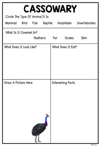 Australian Animals Research Project Templates - Kangaroo, Koala ...