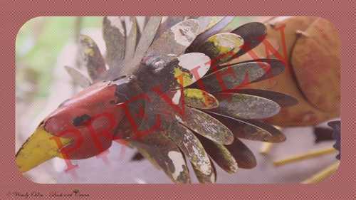 3-Digit by 1-Digit Multiplication WITHOUT Regrouping Bundle by Book and ...