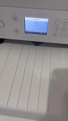 Libro Animado Día de San Valentín - Valentine’s Day Flipbook in Spanish