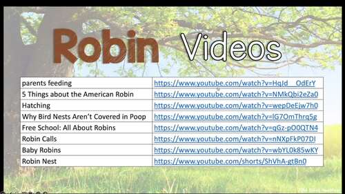 Robins Nonfiction Digital and Printable Slides, Books, and Activities
