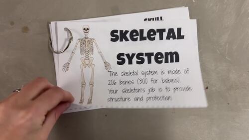 21 Bone Cards for Kids – Skeleton Picture, Location & Function (Half ...