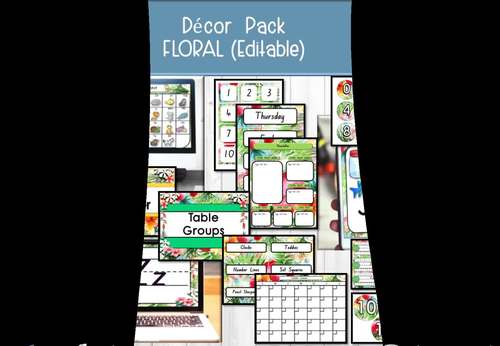 DECOR PACK -Hibiscus Design by Oceanview Resources | TPT