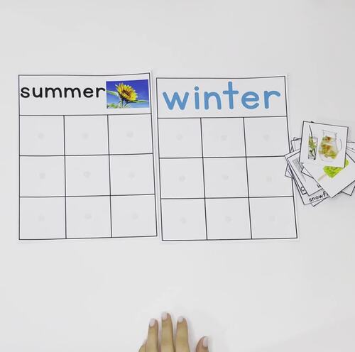 Four Seasons of the Year Sort Science Special Ed Activity Autism Winter ...
