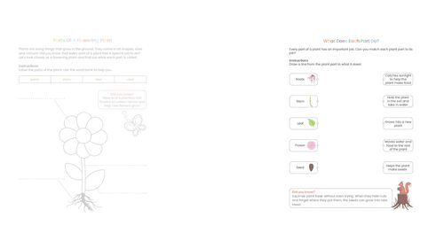 Year 1 Science Workbook: Plants | KS1 and First Grade Life Science ...