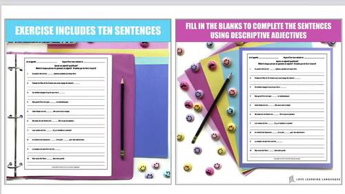 French Descriptive Adjectives Exercises BUNDLE + Adjective Resource Booklet
