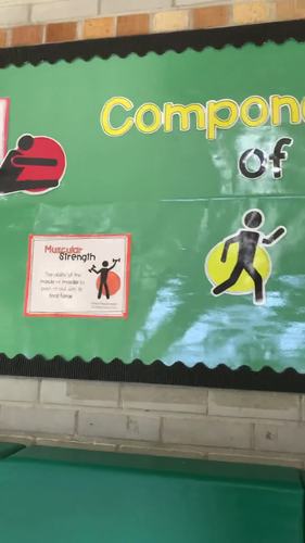 COMPONENTS OF FITNESS - Health Related - BULLETIN BOARD & Poster Kit - PE