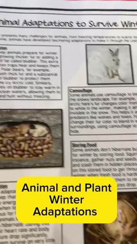 Animal & Plant Winter Adaptations | Reading Passage | Differentiated ...
