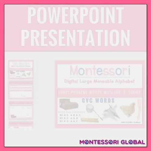 Montessori Pink Series: Montessori Moveable Alphabet - CVC Words with ...