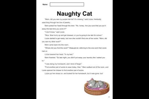 Animals Reading Comprehension Word File 5: Naughty Cat (Grade 4-5)