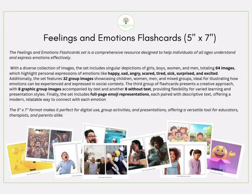 Feelings and Emotions BUNDLE-Presentation style-No prep (ABLLS-R C54, G42)