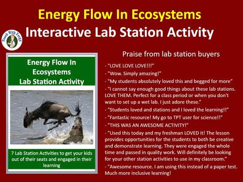 Energy Flow In Ecosystems - 7 Lab Station Activities by Teach With Fergy