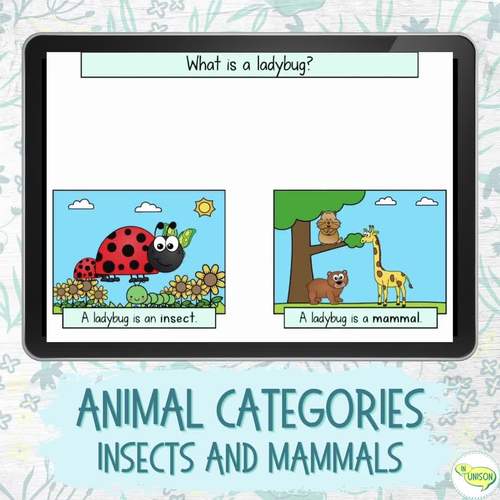Categories Boom Cards™ Animal Category Sorting Insects and Mammals