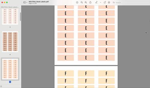 Classroom Boho Neutral Book Spine Labels BUNDLE by Arieanna Gonzales