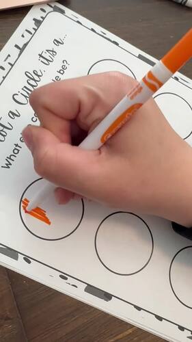 That's Not a Circle... Morning Work/Early Finisher/No Prep Shape Printable