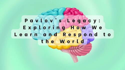 Exploring How We Learn and Respond to the World | Classical ...