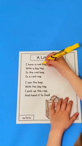 CVC Word Family Phonics Poems with Decodable Text | TPT