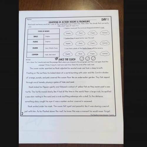 Summer Reading Packets, 4 Weeks of Reading, Grammar, Writing, Fluency ...