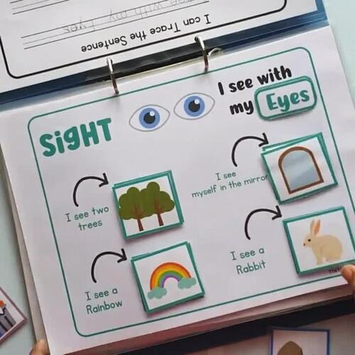 My senses activity, Toddler learning Binder, Homeschool Printables