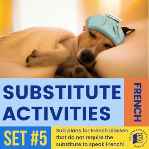 French Substitute Activities Set #5: Storyboards for French 2 | TPT