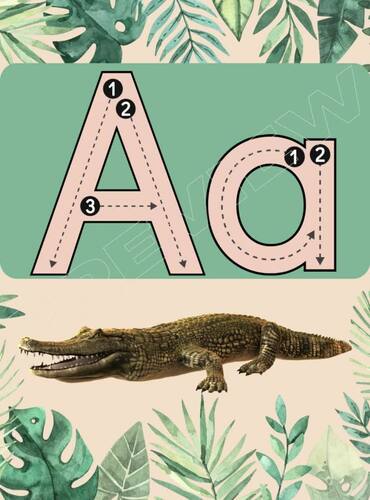 Jungle Themed Alphabet Posters by Primary Prose | TPT