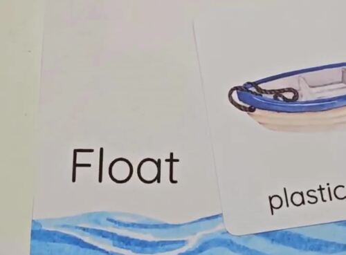 Sink or Float Sorting Game, Prediction and Observation Worksheet ...