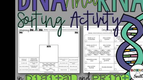 DNA and RNA Structure and Function Sorting Activity in Print and Digital