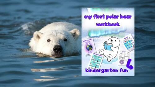 Polar Bear Workbook Arctic Animal Worksheets Polar regions activity PreK
