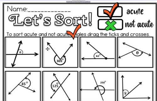 acute angle assessment by Murphys lesson design studio | TPT