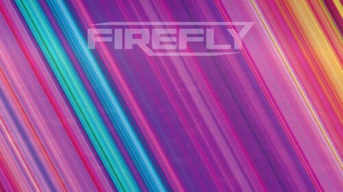 FIREFLY Rocket - Build a flying Model Rocket with basic, household ...