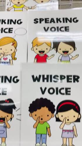 Types of Voices Posters + Cards | lower elementary music class no prep