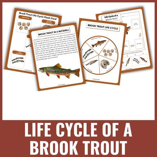 Life Cycle of a Brook Trout: Diagram, Cut & Paste, Matching Activity ...