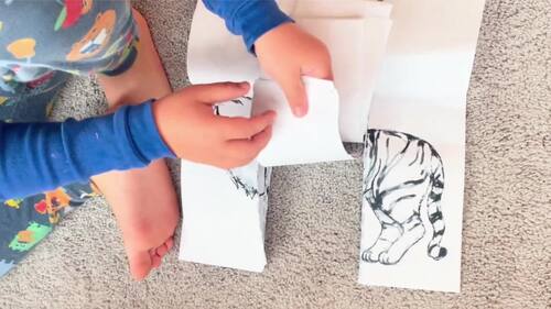 Animal Coloring Flip Book: Create a Creature! by My Little Hive | TPT