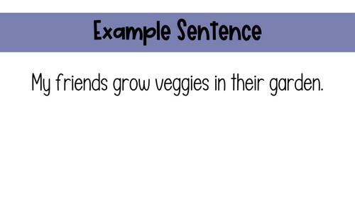 Direct Objects Grammar Video and Worksheet - Emergency Sub Plans - 6th ...