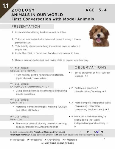 Montessori ECE PRESCHOOL COMPLETE ZOOLOGY CURRICULUM (Ages 3–6) | TPT