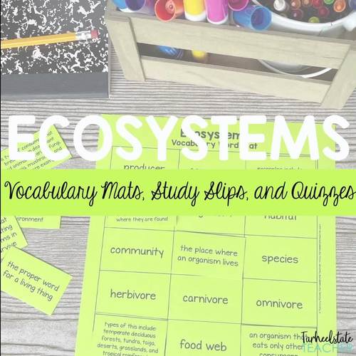 Ecosystems Vocabulary Activities Printable and Google Slides Distance ...