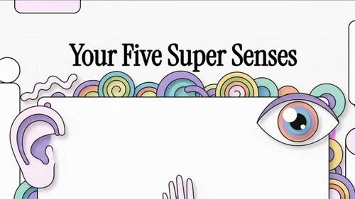 5 Senses Project Activities Bundle | Escape Room Game Worksheets ...
