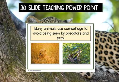 1-LS1-1 Biomimicry Unit | Structure And Function | Mimicking Nature ...