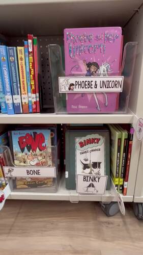 Popular Graphic Novel Book Bin Labels by Coop's Corner | TPT