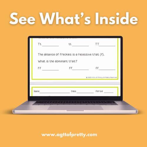 Genetics Middle School Science Punnett Square Heredity Practice Worksheets