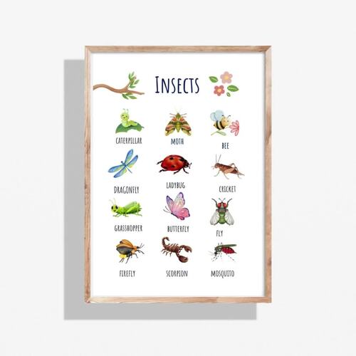 Insects Wall Art for Kids Room | Cute Bug Chart Printable by Ping Ping ...