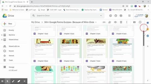Google Forms Quizzes - Novel Because of Winn-Dixie by Charging 4th