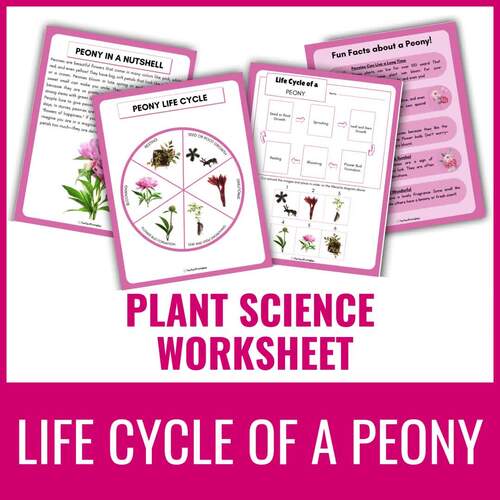 Life Cycle of a Peony Worksheet | Flowering Plant Unit Study With Fun ...