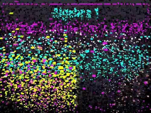 Algebra 1 Florida BEST Unit 6 Exponential Functions Bundle by Math Lion
