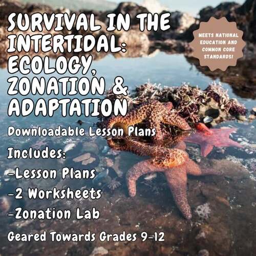 Survival in the Intertidal – Ecology, Zonation & Adaptation for Grades 9-12