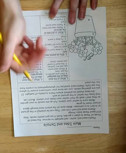 Identifying Main Idea and Supporting Details color by letter worksheets