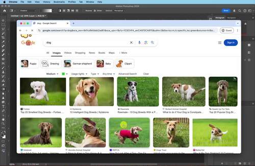 Unit 2 - Project 3 - DSLR Photography – Photoshop Tutorial E: Color ...