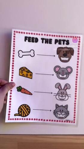 Feed the Pet Counting Sensory Bin- Preschool Math Center | TPT