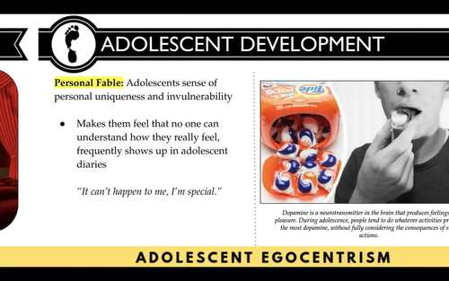 AP Psychology | Developmental Psychology PowerPoint *12 Unit Path (Block)