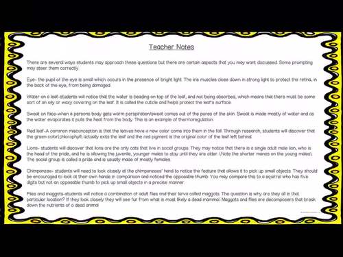 10 CER LIFE SCIENCE Image Prompt Activities Bell Ringers Graphic ...